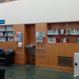 DJ Lee – Working In America